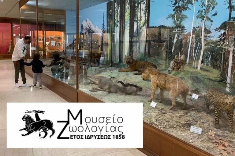 Μουσείο Ζωολογίας ΕΚΠΑ: Σπάνια μοναδικά εκθέματα - Hub ΕΚΠΑ Hub ΕΚΠΑ