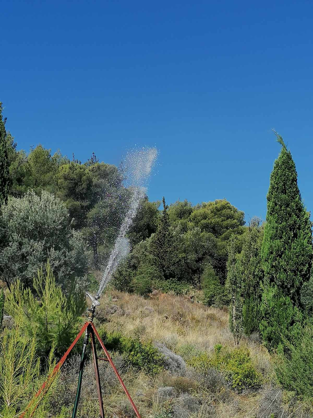 Λειτουργία Δικτύου Υδροβολής 20/07/2022 - Βοτανικός Κήπος Διομήδους ...